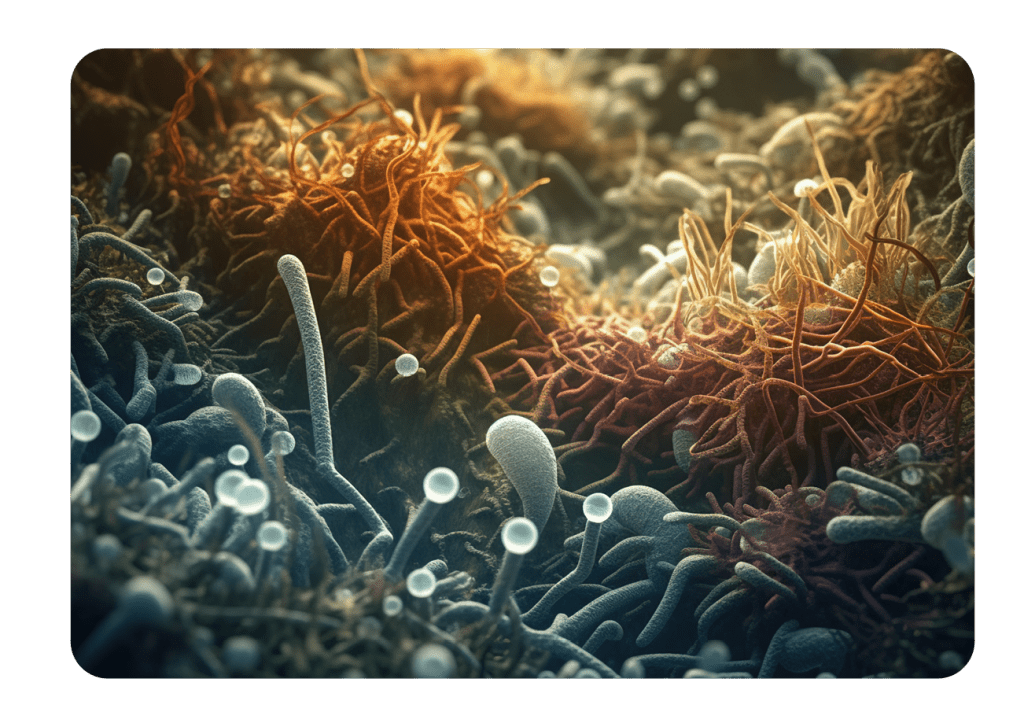 Séquençage des Microbiomes - Life&Soft